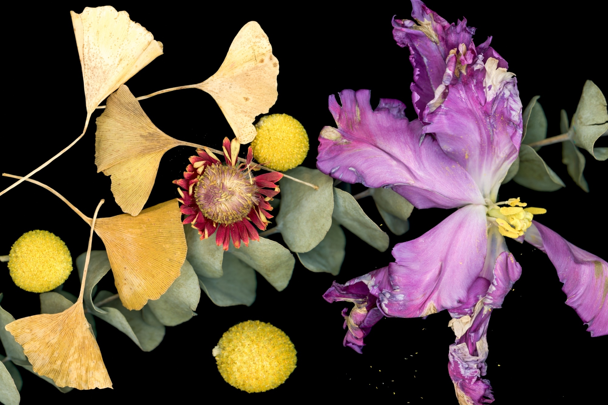 Edward Peck – LIPONT GALLERY