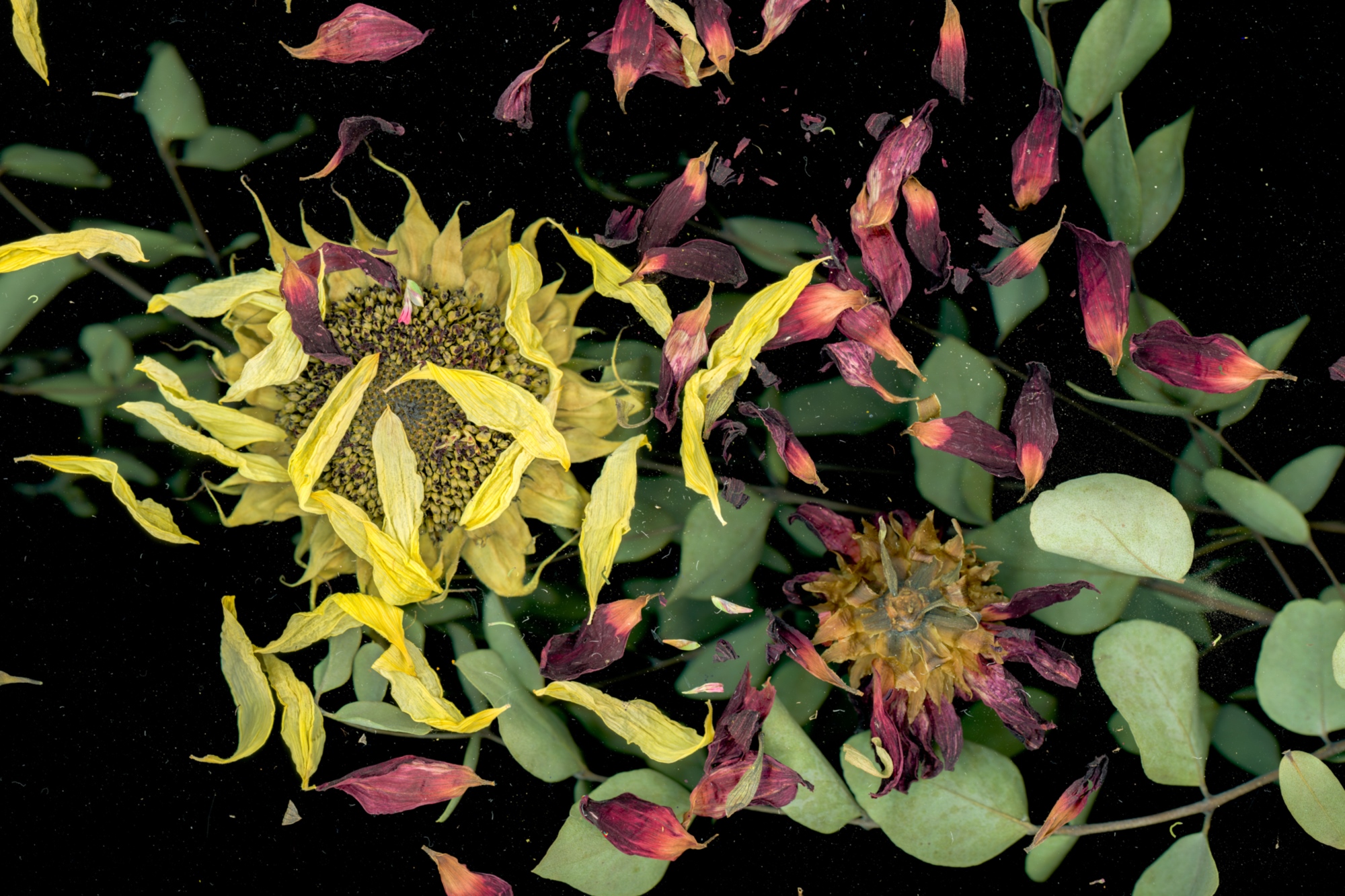 Edward Peck – LIPONT GALLERY