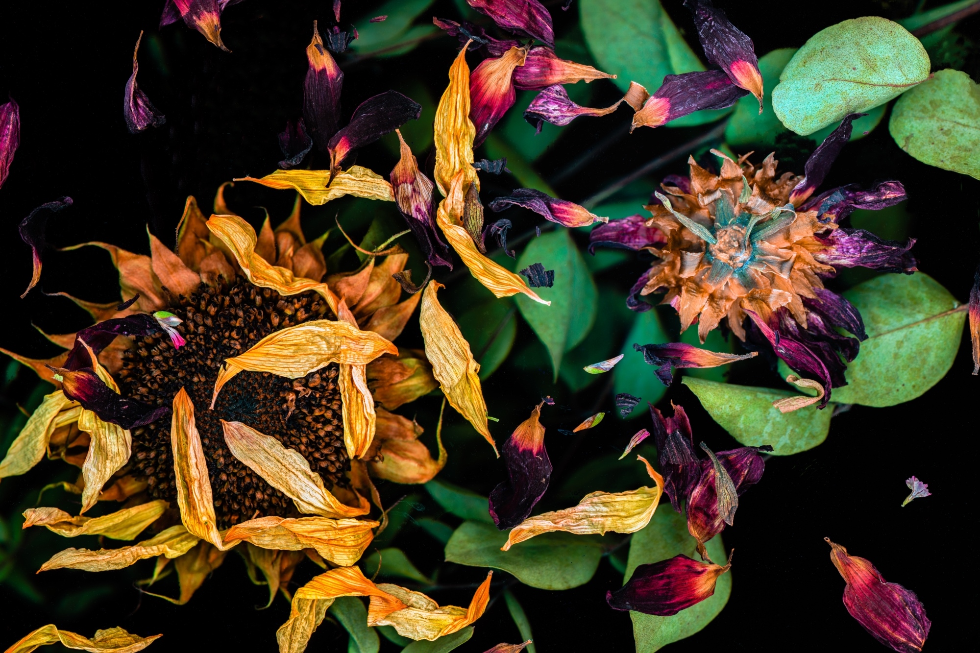 Edward Peck – LIPONT GALLERY