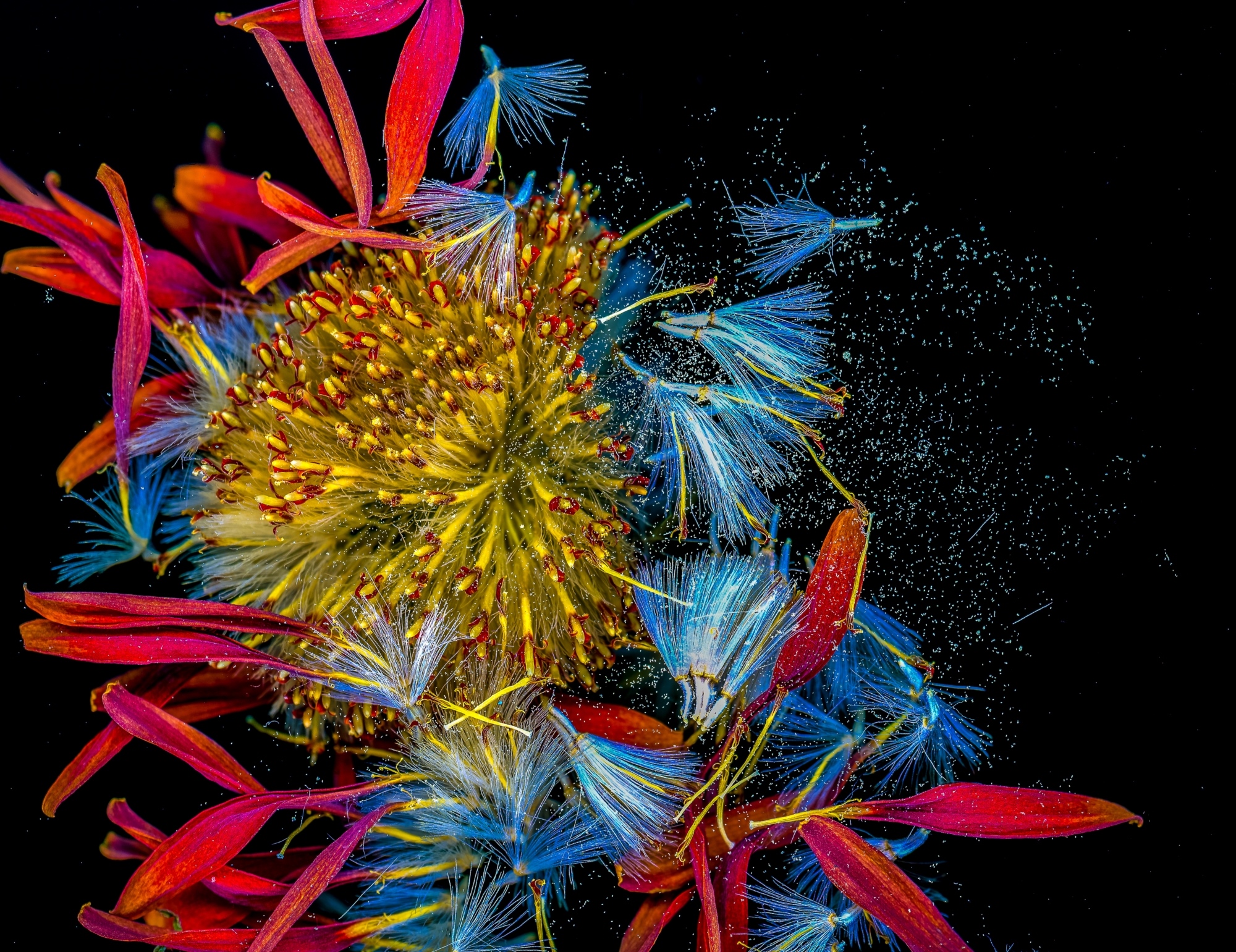 Edward Peck – LIPONT GALLERY