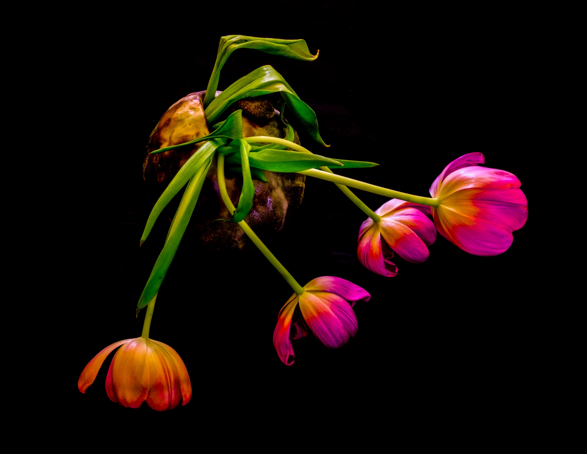 Edward Peck – LIPONT GALLERY