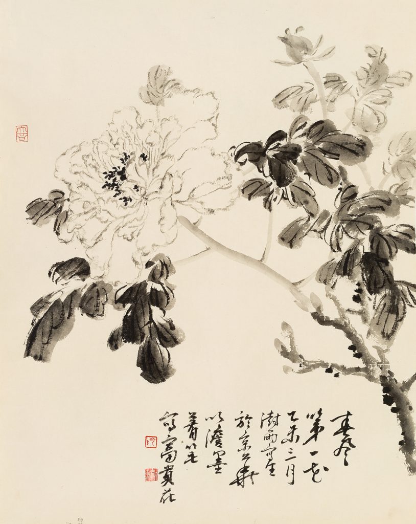 Observing the Growth of Life – Art by Shuyu Yin – LIPONT GALLERY